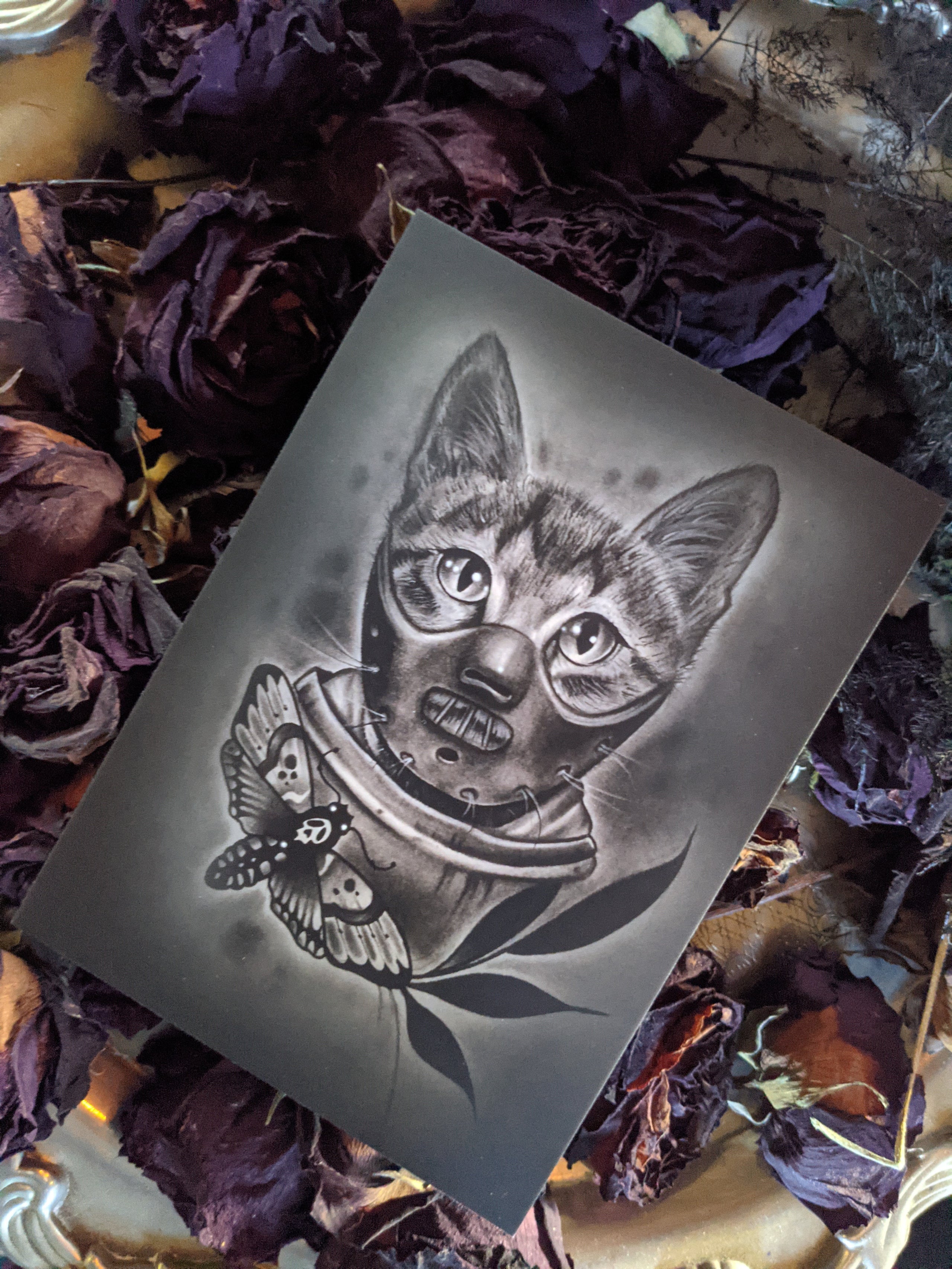Hannibal Cat | Black Veil